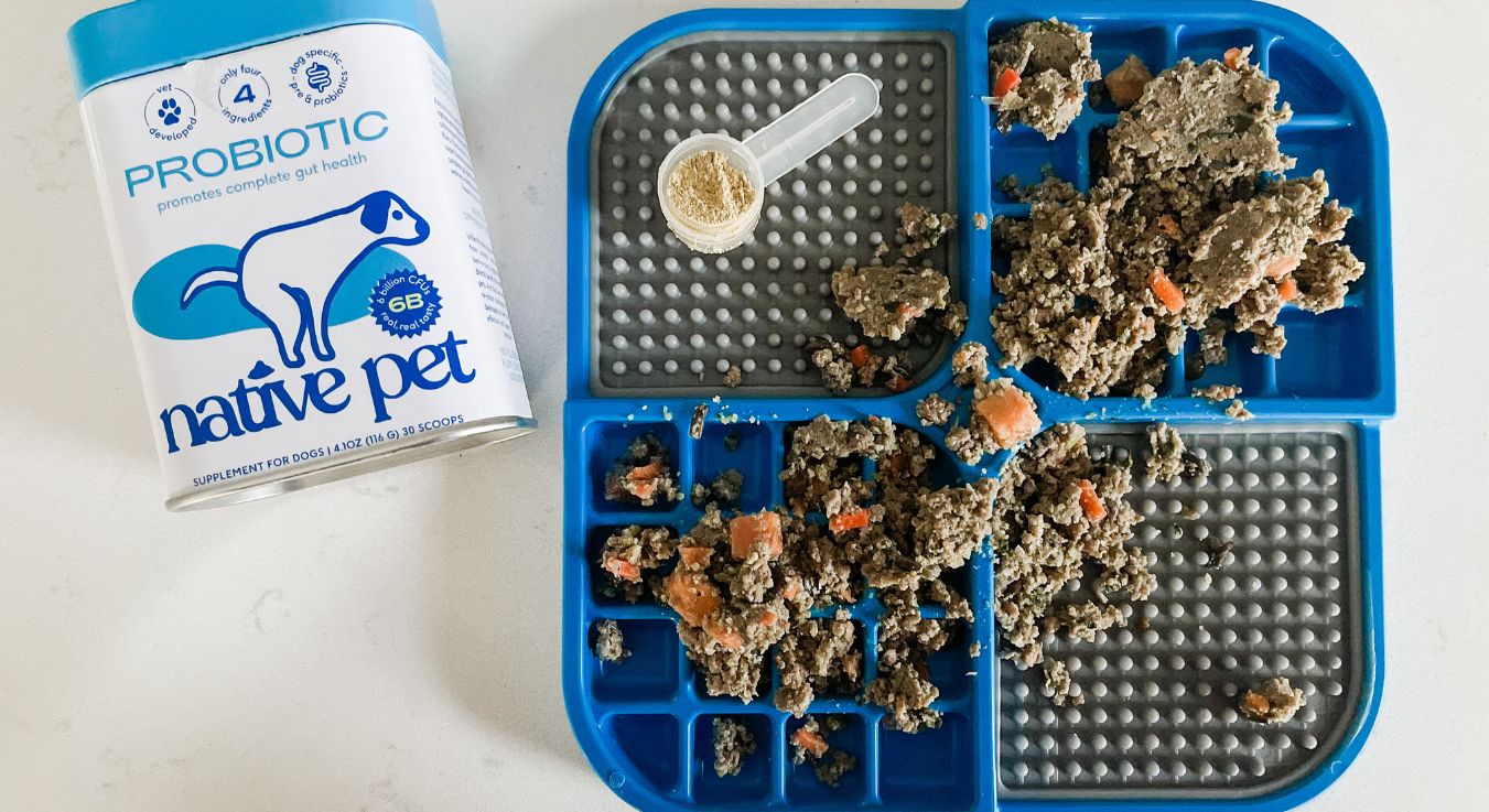Unleashing The Power of Probiotics: How Your Dog Can Benefit - Proud ...