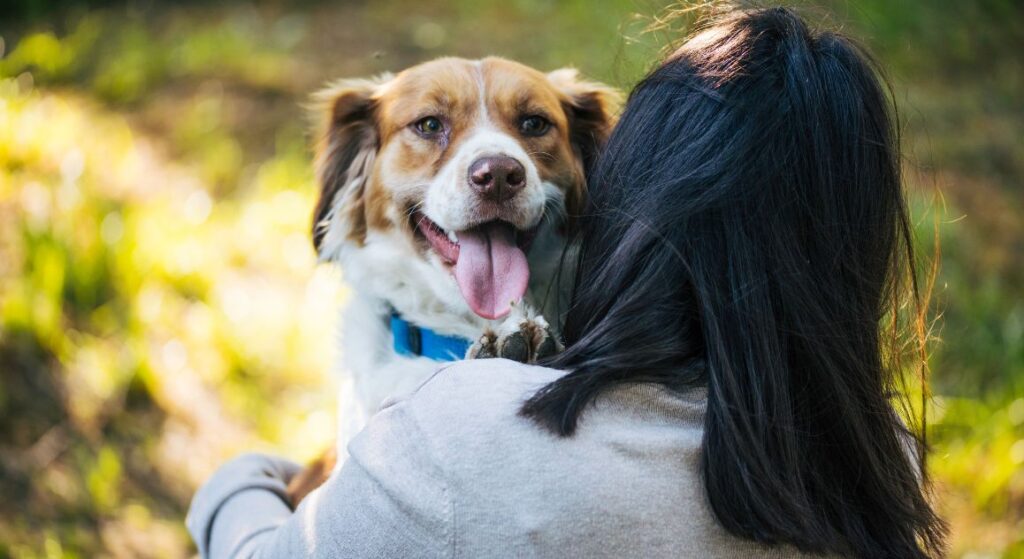 A Look at the Special Human-Dog Bond - Proud Dog Mom